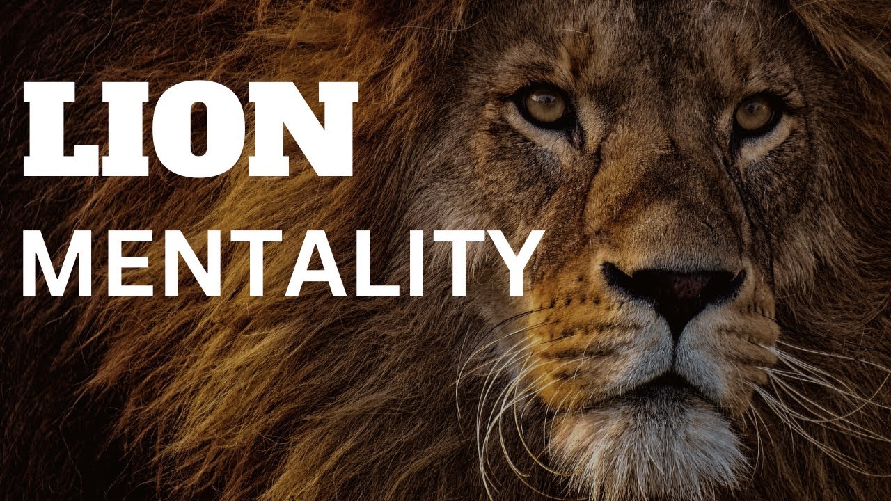 Lion Mentality Motivational Speech Youtube