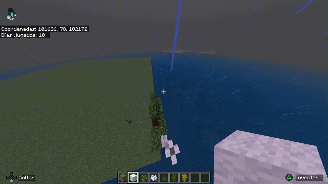 Server Youtube