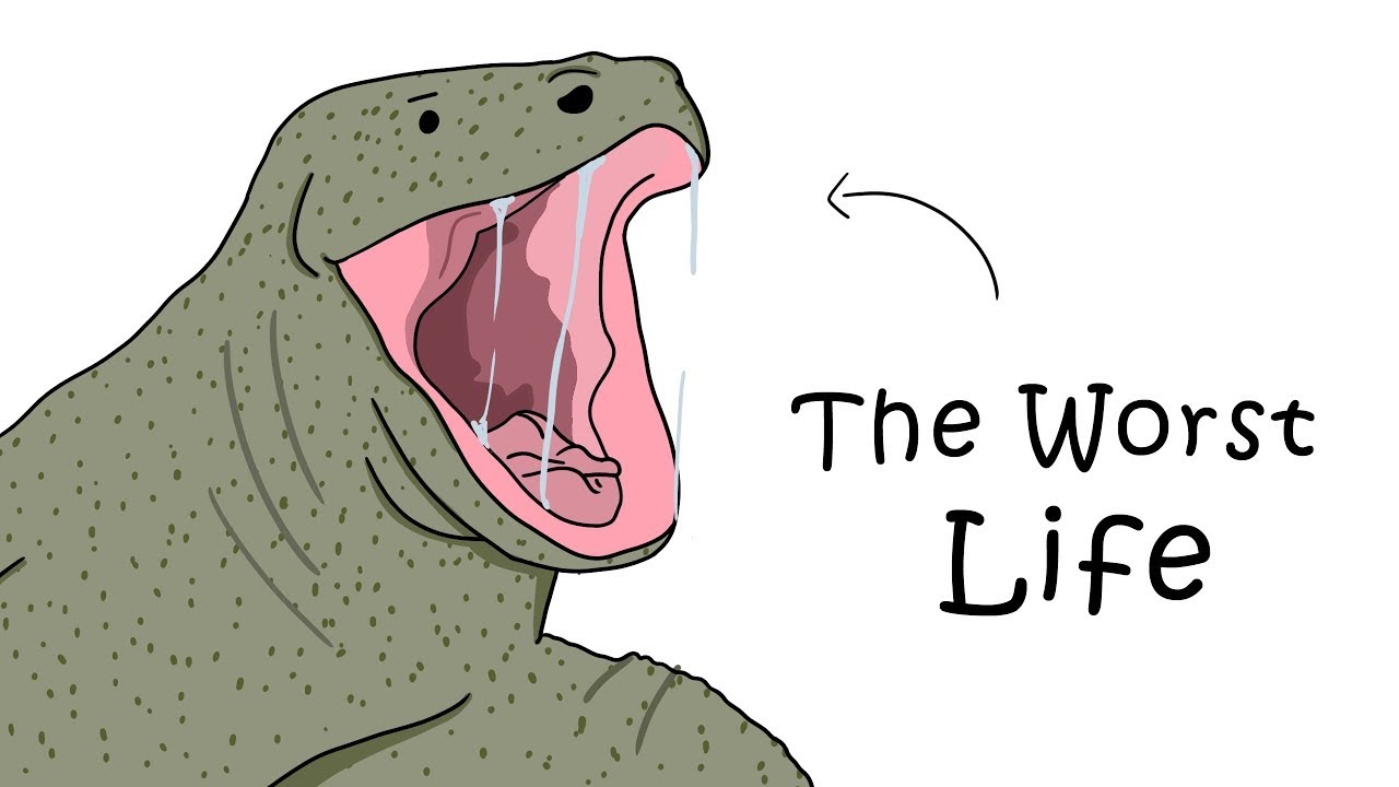 Why It Sucks To Be Born As A Komodo Dragon Youtube