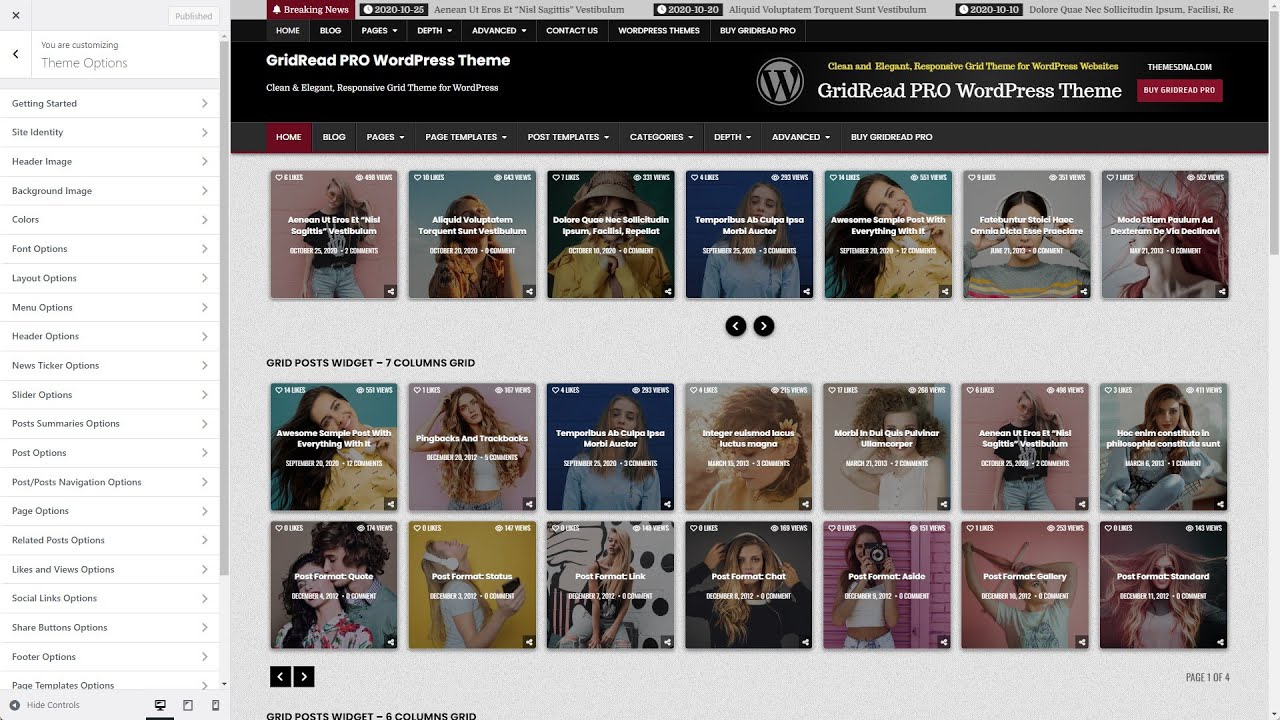 Customizer Theme Options Gridread Pro Wordpress Theme Youtube