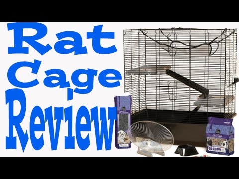 Rat Cage Review All Living Things Rat Starter Kit Youtube