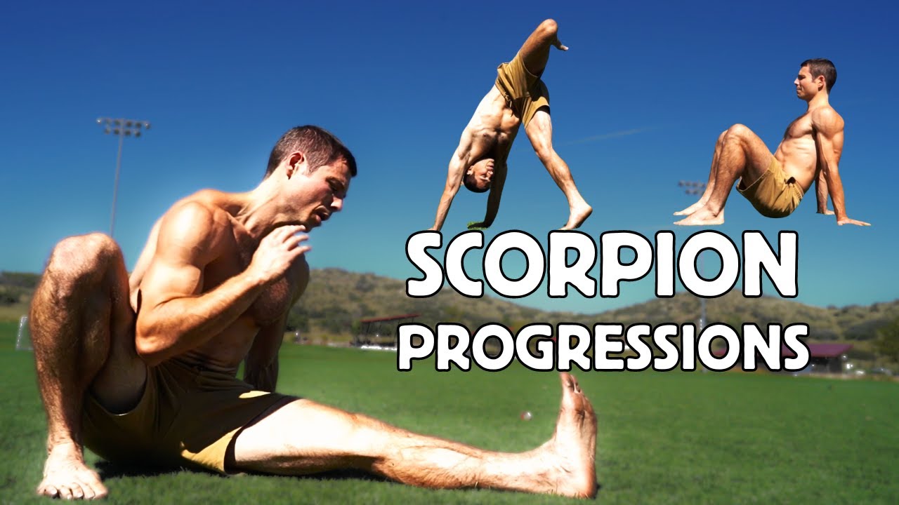 Scorpion Progressions Animal Movement Tutorial Youtube