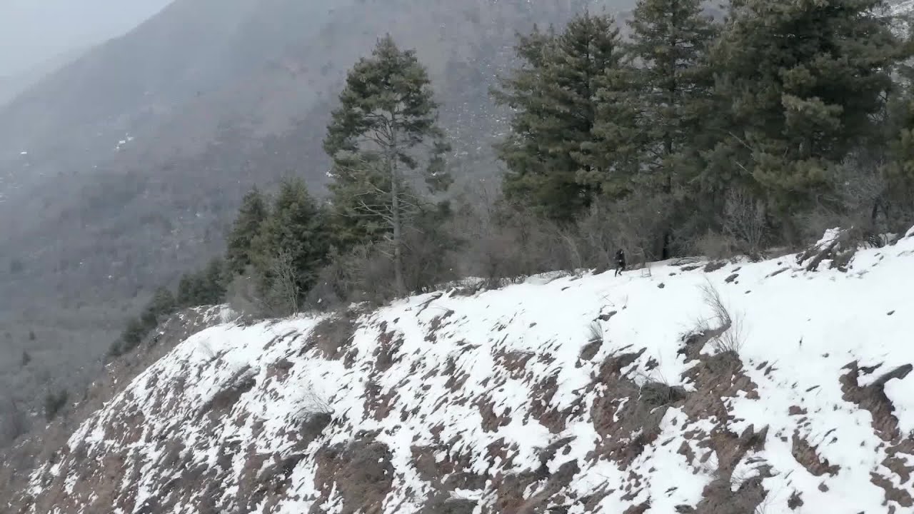 Inspiring Climate Action Through Storytelling Youtube