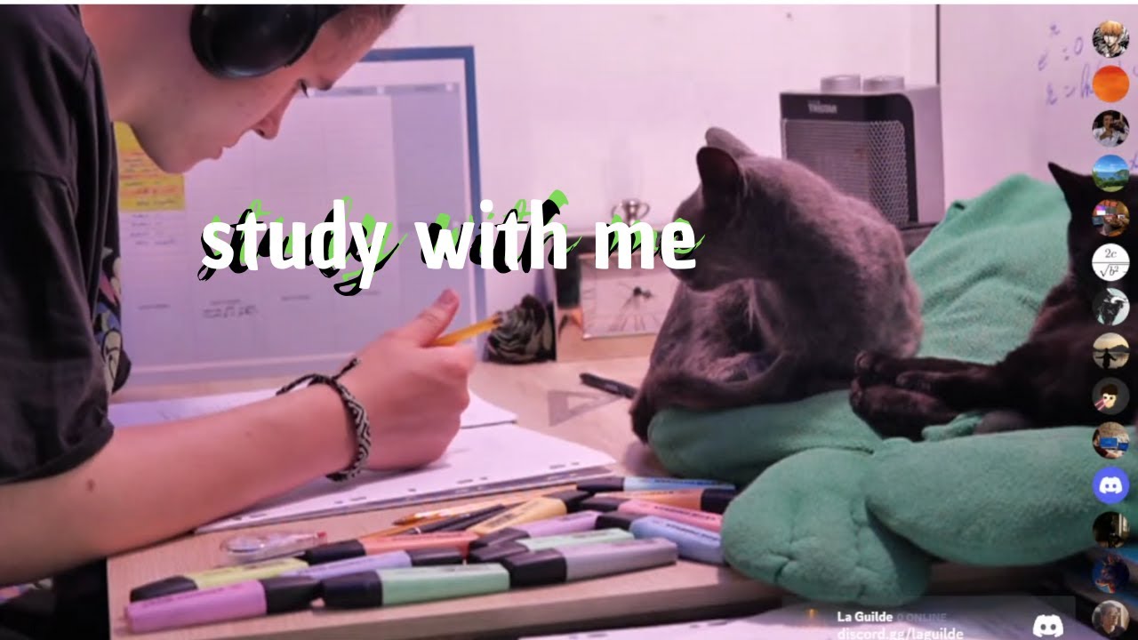 10 Hour Study With Me Background Noise Rain Sounds 10 Min Break No