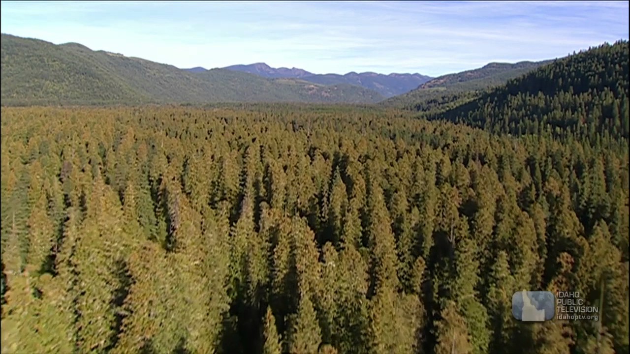 Outdoor Idaho S Almost Canada Youtube