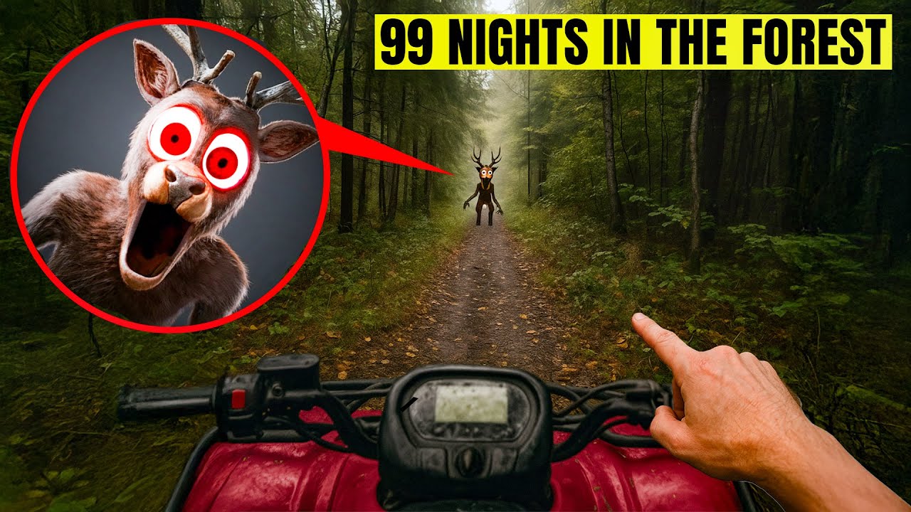 Drone Catches 99 Nights In The Forest In Real Life Deer Full Movie