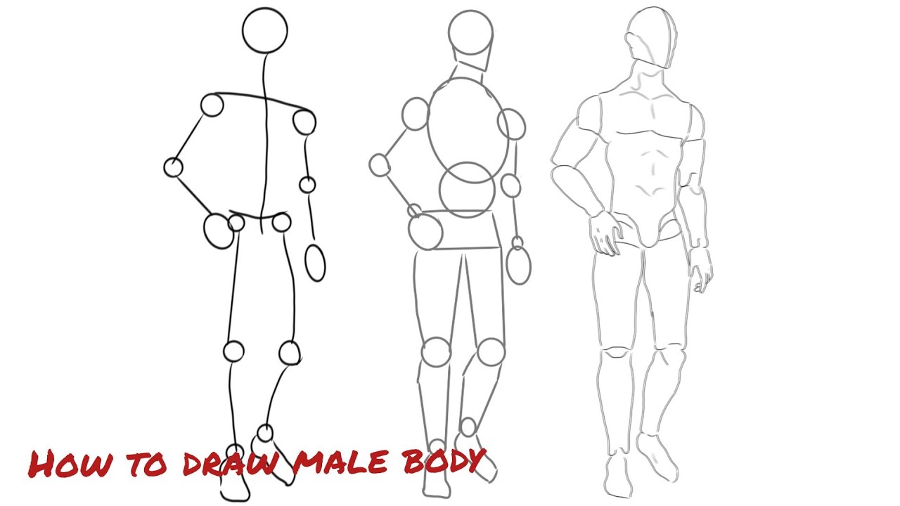How To Draw Manga Male Body Step By Stepinfoupdate Org Pdf Infoupdate Org