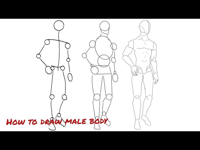How To Draw Manga Male Body Step By Stepinfoupdate Org Pdf Infoupdate Org