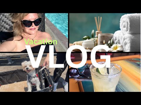 Vacation Vlog Youtube