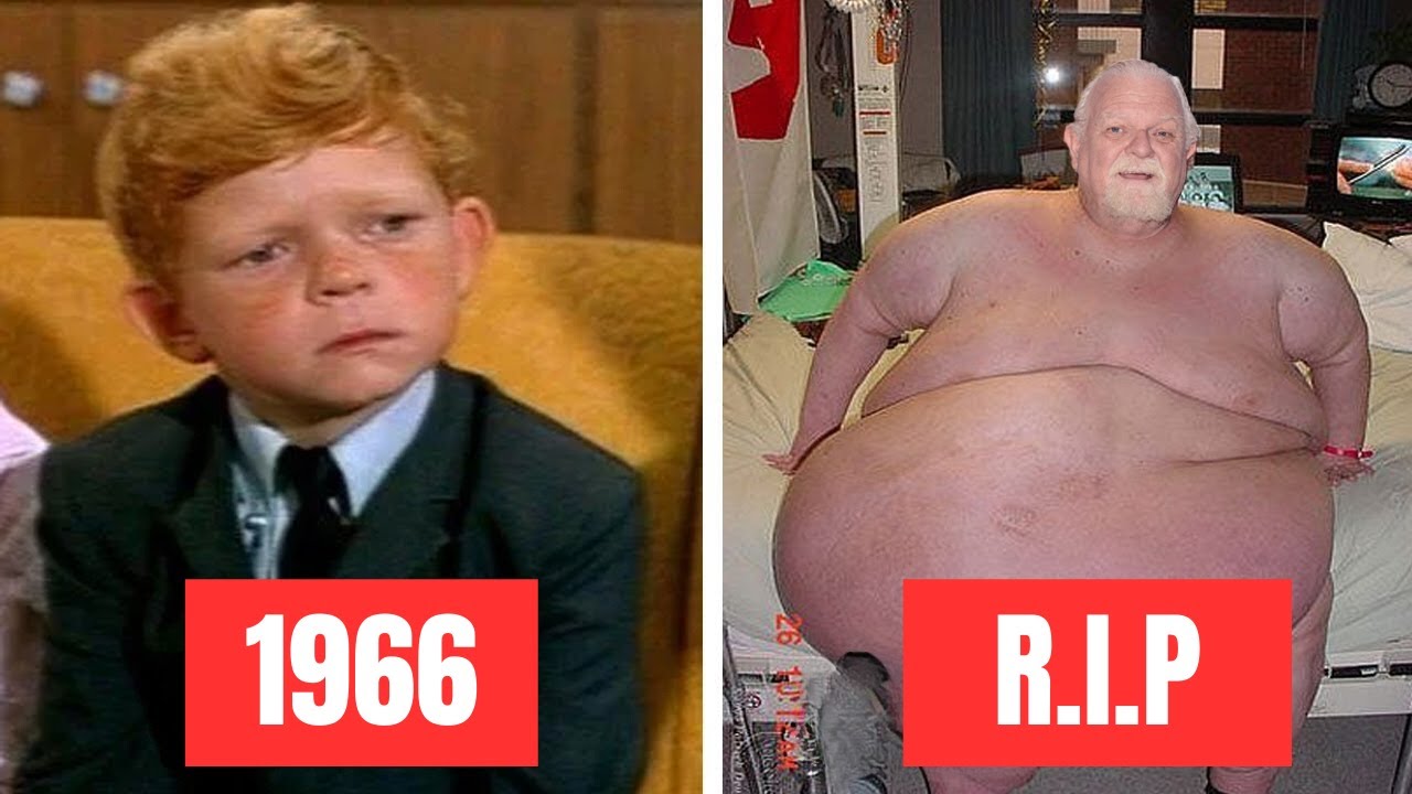 Family Affair 1966 1971 Cast Then And Now 2024 Thanks For The
