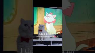 Have You Ever Dream To Have A Cat Like Marie From Aristocats Cat ...
