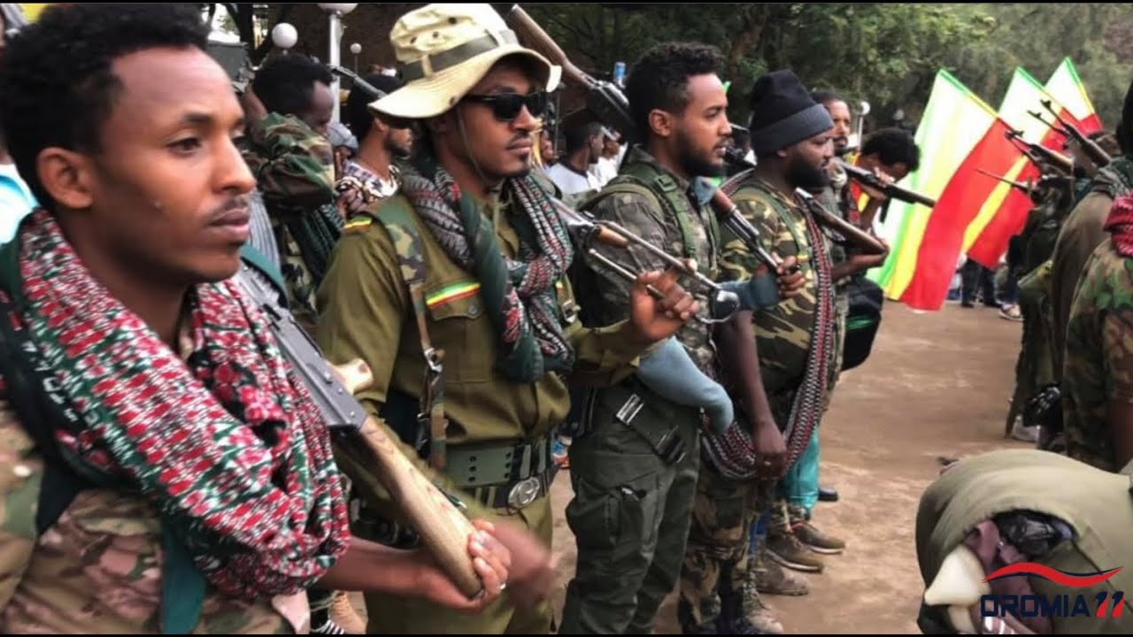 Oromia11 Oduu 10 3 2023 Youtube