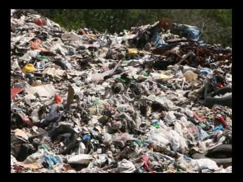 Sustainability Animation Video For Students Youtube