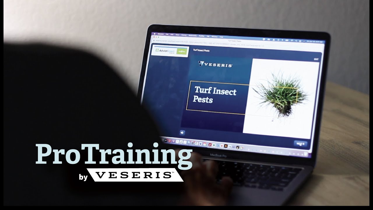 Learn With Protraining Youtube