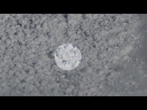 Weather Gone Viral Bunny Outruns An Avalanche Youtube