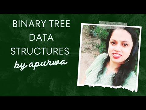 Binarytree Datastructures Computerscience Searching Youtube