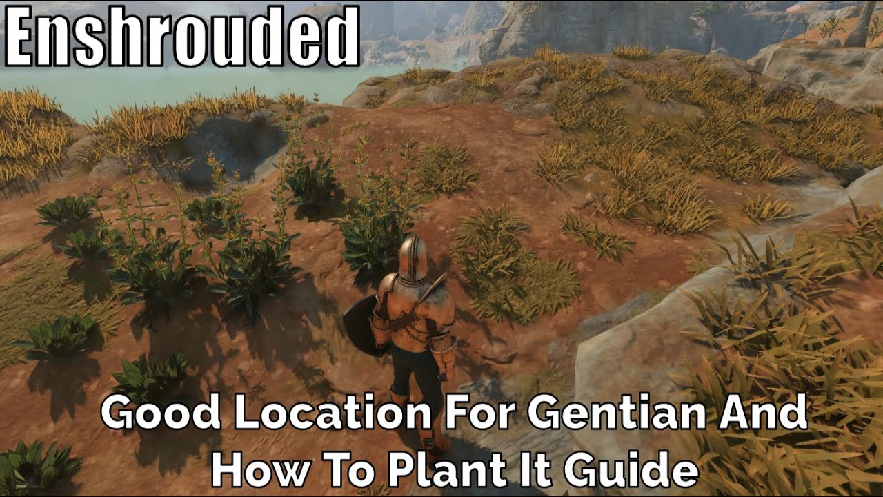 Enshrouded Good Location For Gentian And How To Plant It Guide Youtube