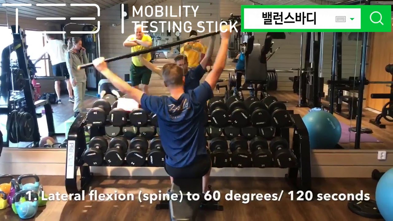Te3 모빌리티 테스팅 스틱 Te3 Mobility Testing Stick Youtube