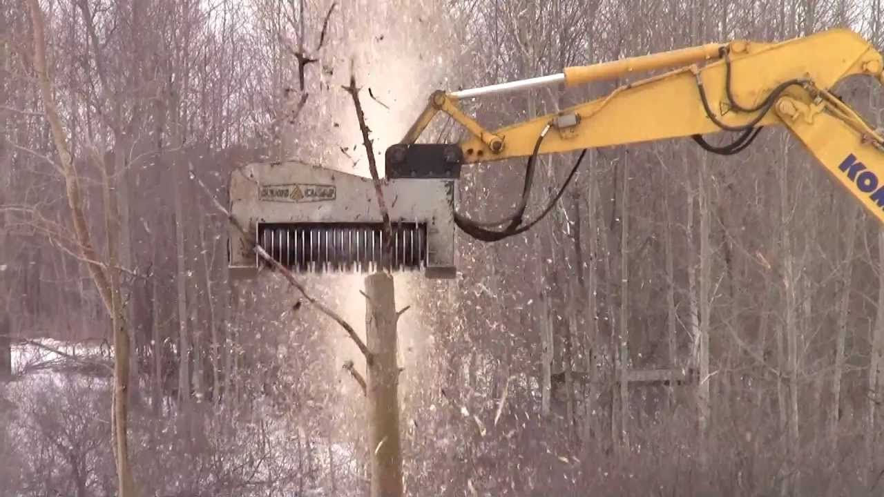 When Trees Explode Teaser Youtube