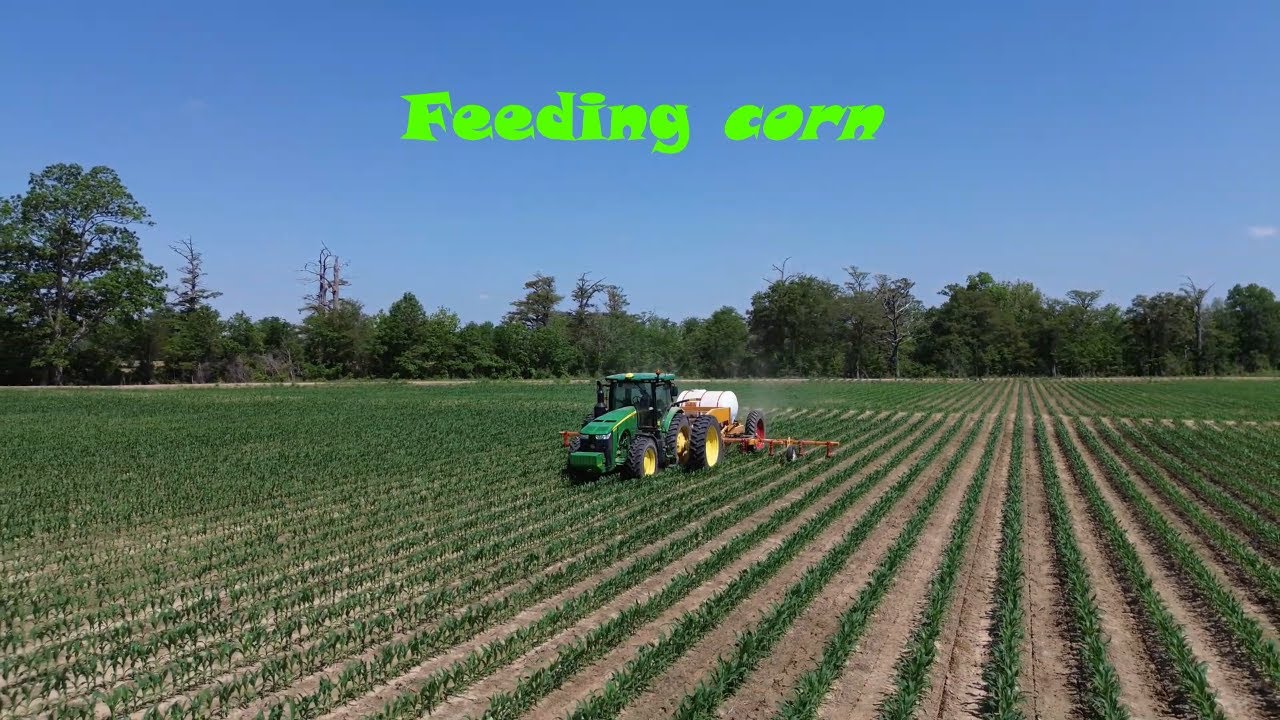 Fertilizing Youtube