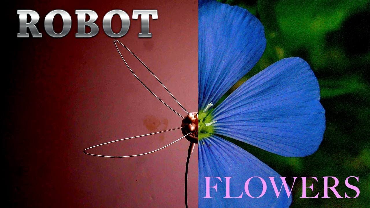 Robotic Flowers Youtube