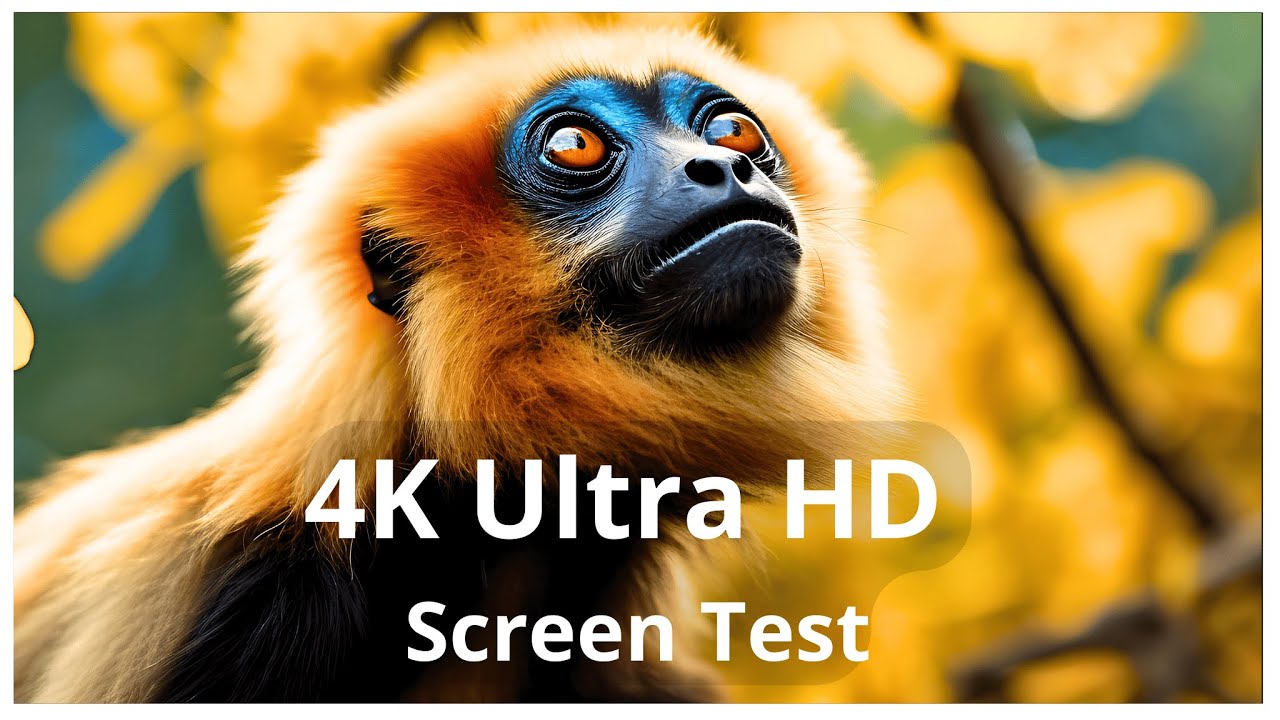 рџњќ 4k Ultra Hd Screen Test Pure Visuals That Will Blow Your Mind рџћґ