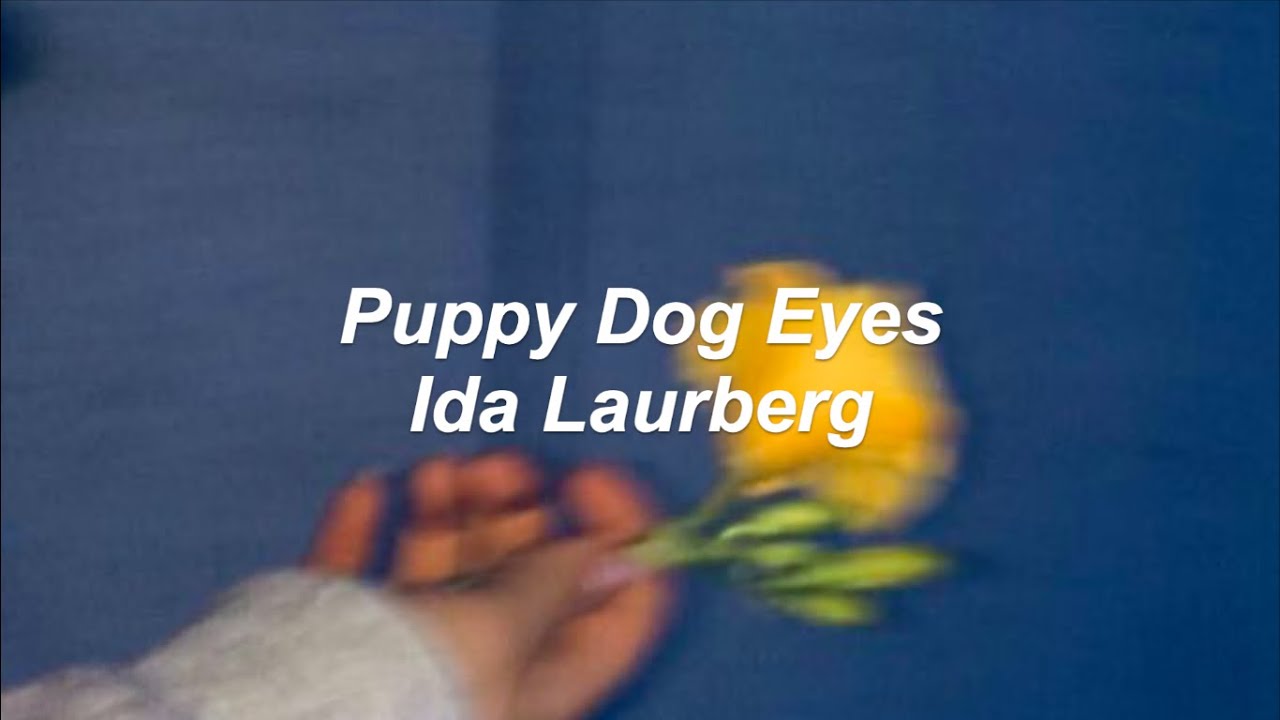 Puppy Dog Eyes Ida Laurberg Lyrics Youtube