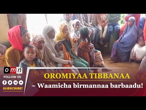 Omn Oromiyaa Tibbanaa Onk 25 2023 Youtube