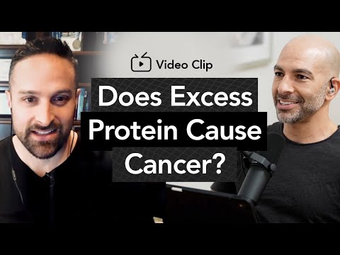 Dispelling Myths That Excess Protein Intake Increases Cancer Risk