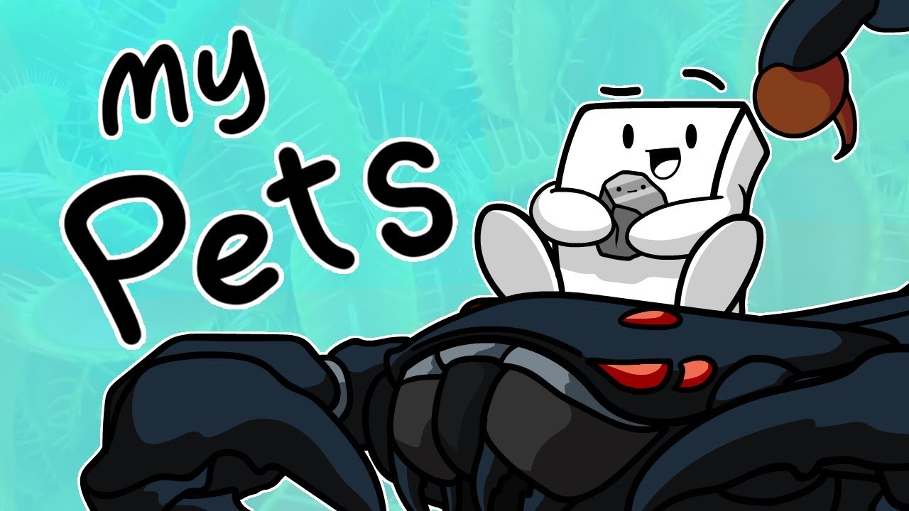 Weird Pets I Had Youtube