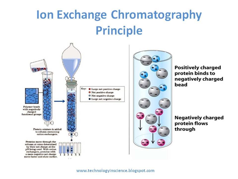 Ion Exchange Chromatography Theory And Principle Youtube