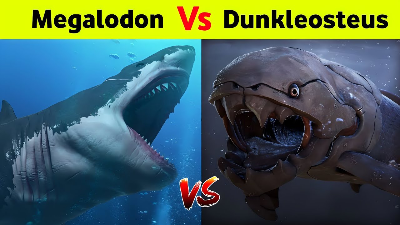 Megalodon Vs Dunkleosteus Who Would Win Youtube