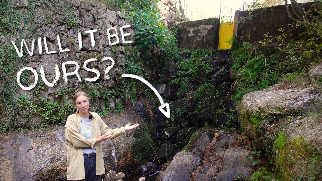 158 Buying New Land And Other Challenges Youtube