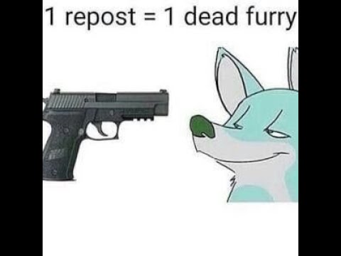 Shitpost Status Compilation Youtube