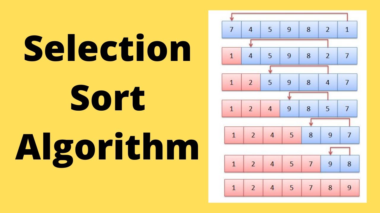 Selection Sort Algorithm Theory Working And Python Program Youtube