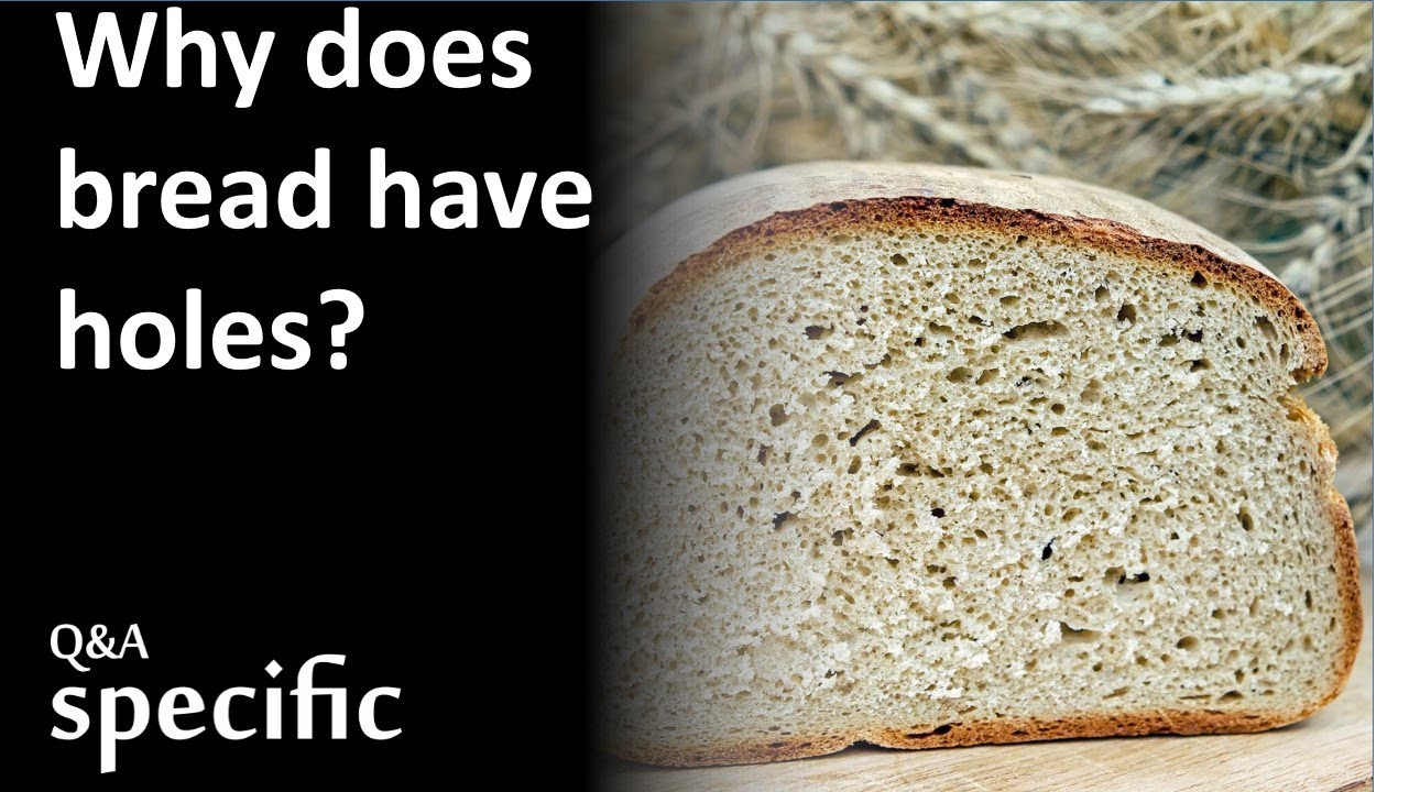 Why Does Bread Have Holes Youtube