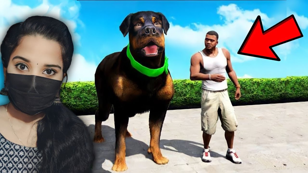 Chop Helps Franklin Gta 5 52 Youtube