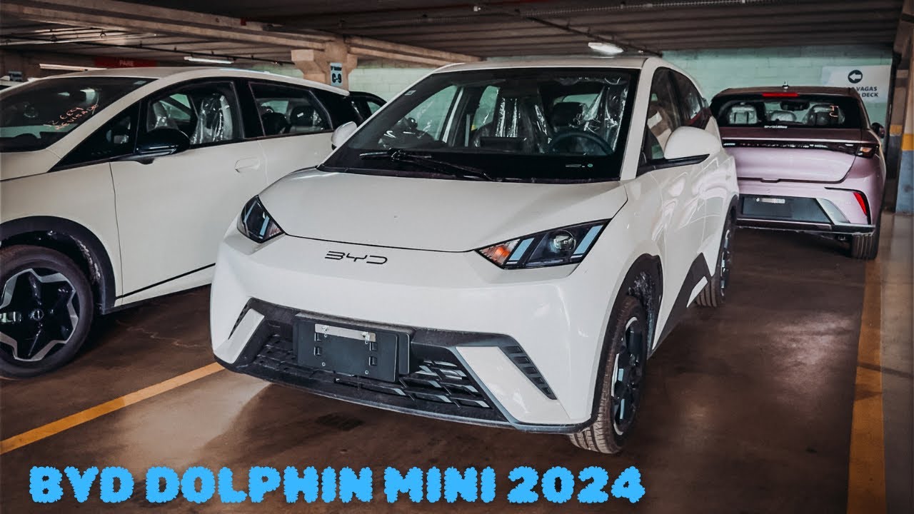 Fui Conhecer O Novo Byd Dolphin Mini 2024 Youtube