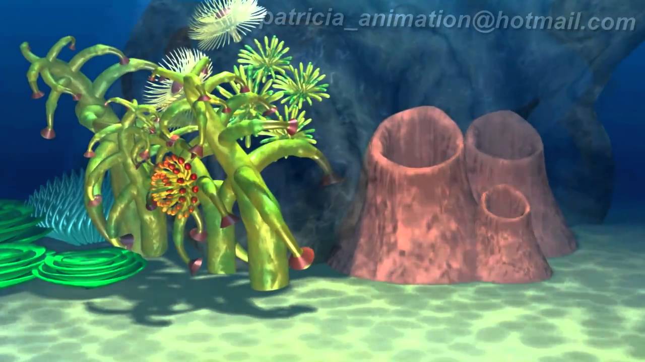 Underwater 3d Animation Youtube
