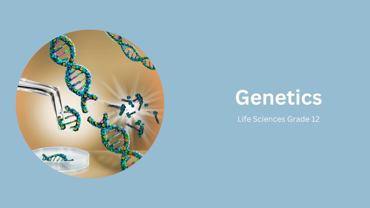 Genetics Youtube