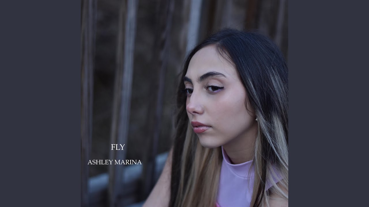 Fly Youtube Music