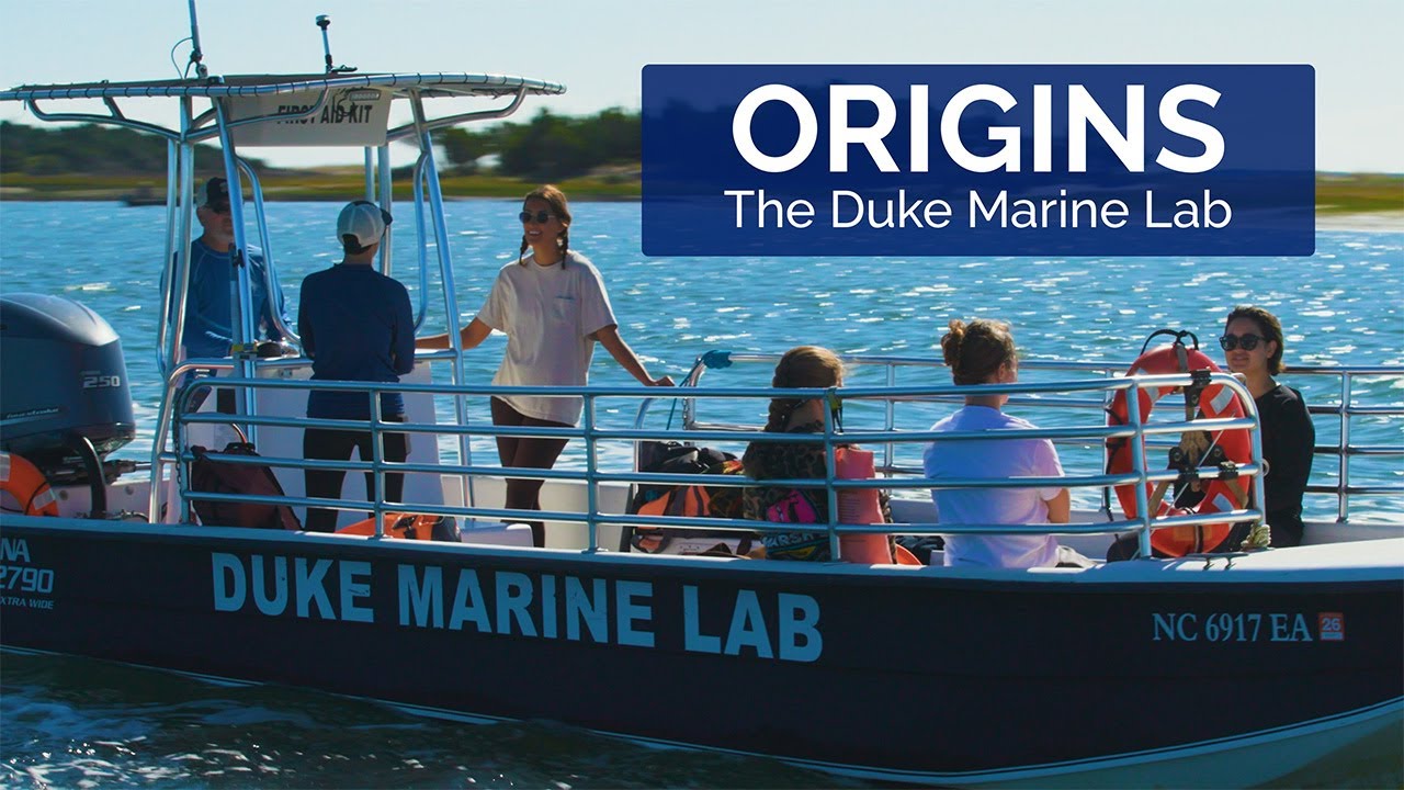 Origins The Duke Marine Lab Youtube