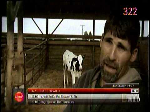 Claro Tv Digital Avanzada Bogotá 6 8 15 1 De 2 Youtube