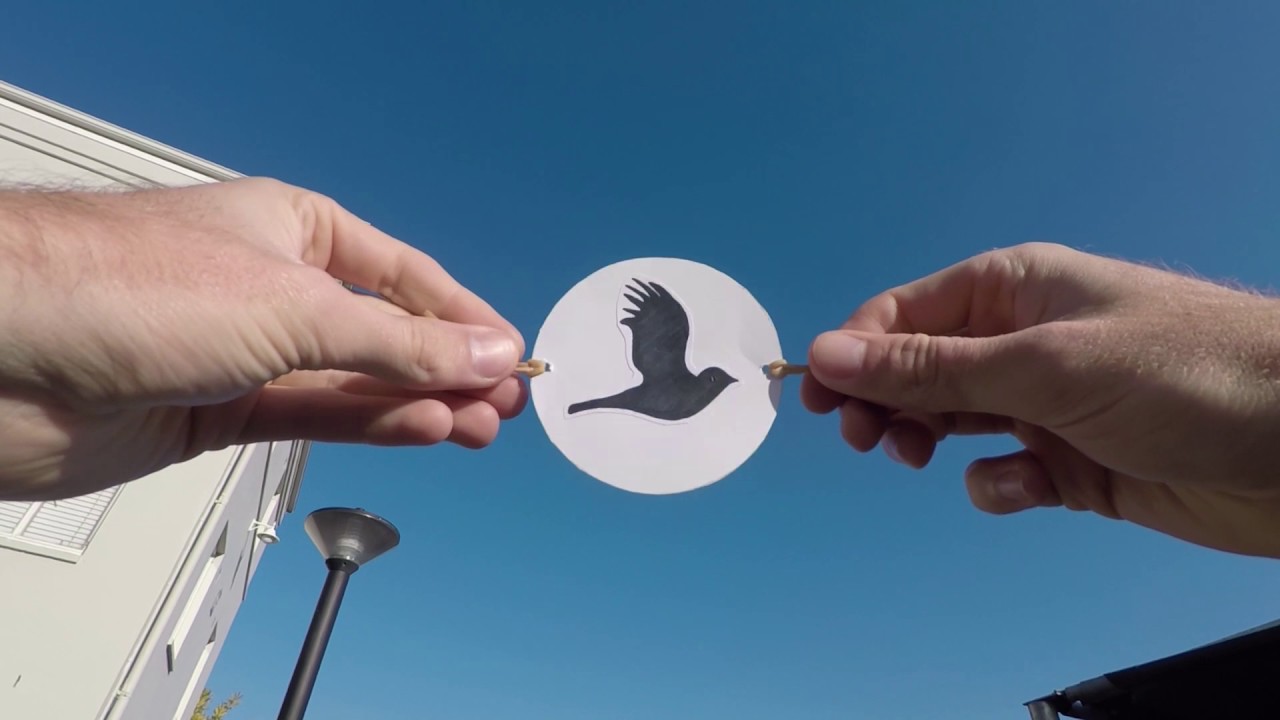 Flying Thaumatrope Youtube