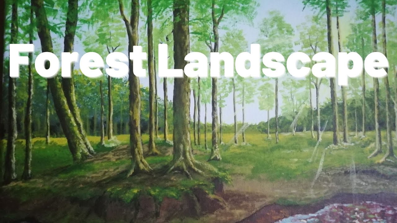 Forest Landscape Drawing Lerysap