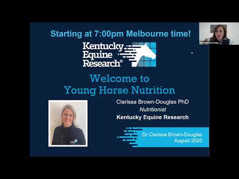 Webinar Feeding Young Horses Youtube