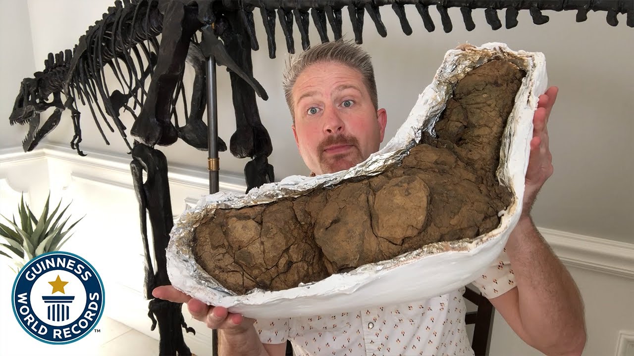 Largest Dinosaur Poop Guinness World Records Youtube