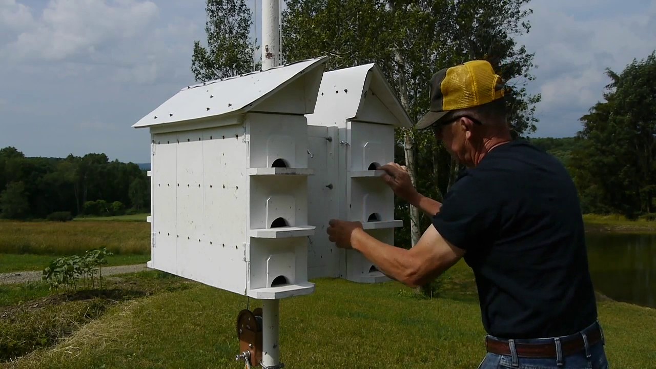Purple Martin House On A Pole Youtube