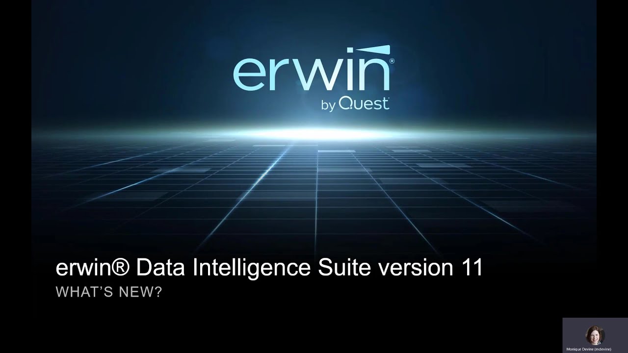 What S New In Erwin Data Intelligence Suite By Quest Version 11 Youtube