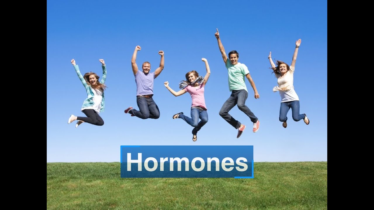 Hormones Youtube